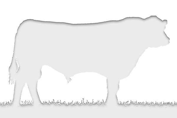 Sires | Triple B Angus